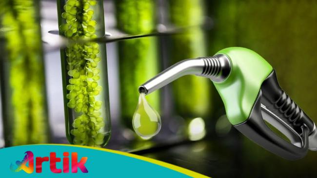 Kurangi Impor, Indonesia Luncurkan BBM Bioetanol, Apakah Aman untuk Mobil?