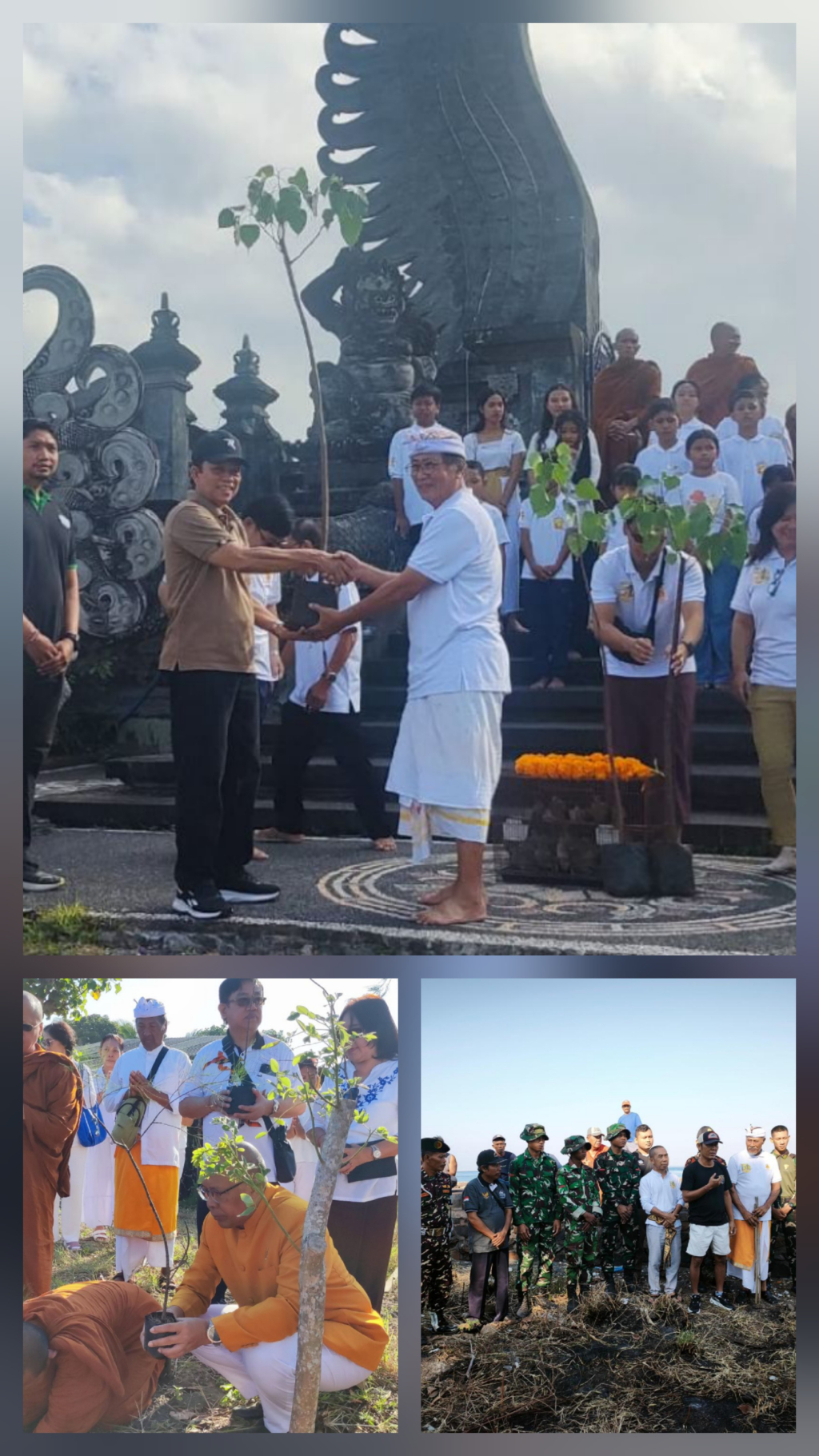Tanam 50 Pohon Cemara Udang, Simbol Kerukunan Lintas Agama dan ...